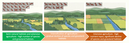 3 Alarming facts for this century | Blog | Software Engineer | Thomas Torfs