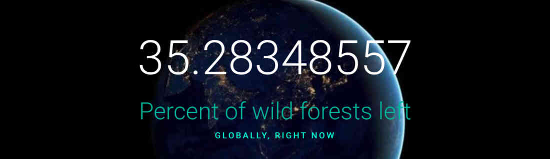 3 Alarming facts for this century | Blog | Software Engineer | Thomas Torfs